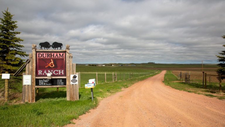 Top Things to Do in Wright Wyoming | Find Attractions Nearby